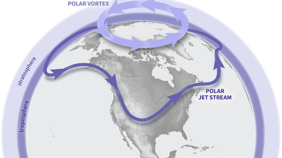 Polar vortex is 'spinning backwards' above Arctic after major reversal ...