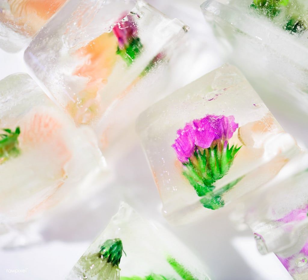 Edible Flower Ice Cubes: How To Make Floral Ice Cubes | Gardening Know How