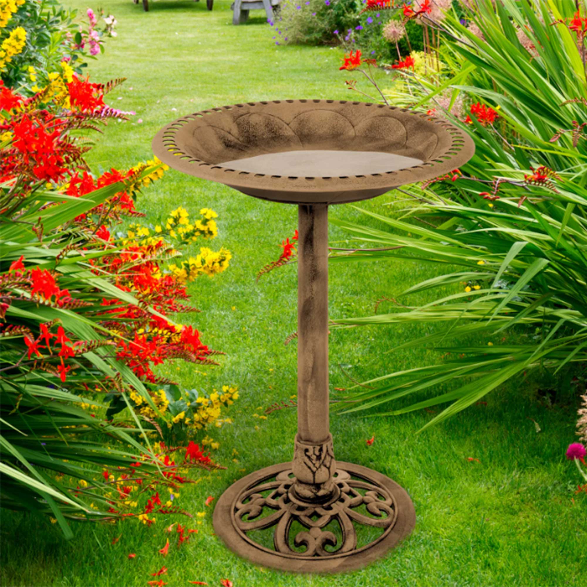 鸟浴冬季护理:后院|花园等的最佳建议 - beplay app 下载