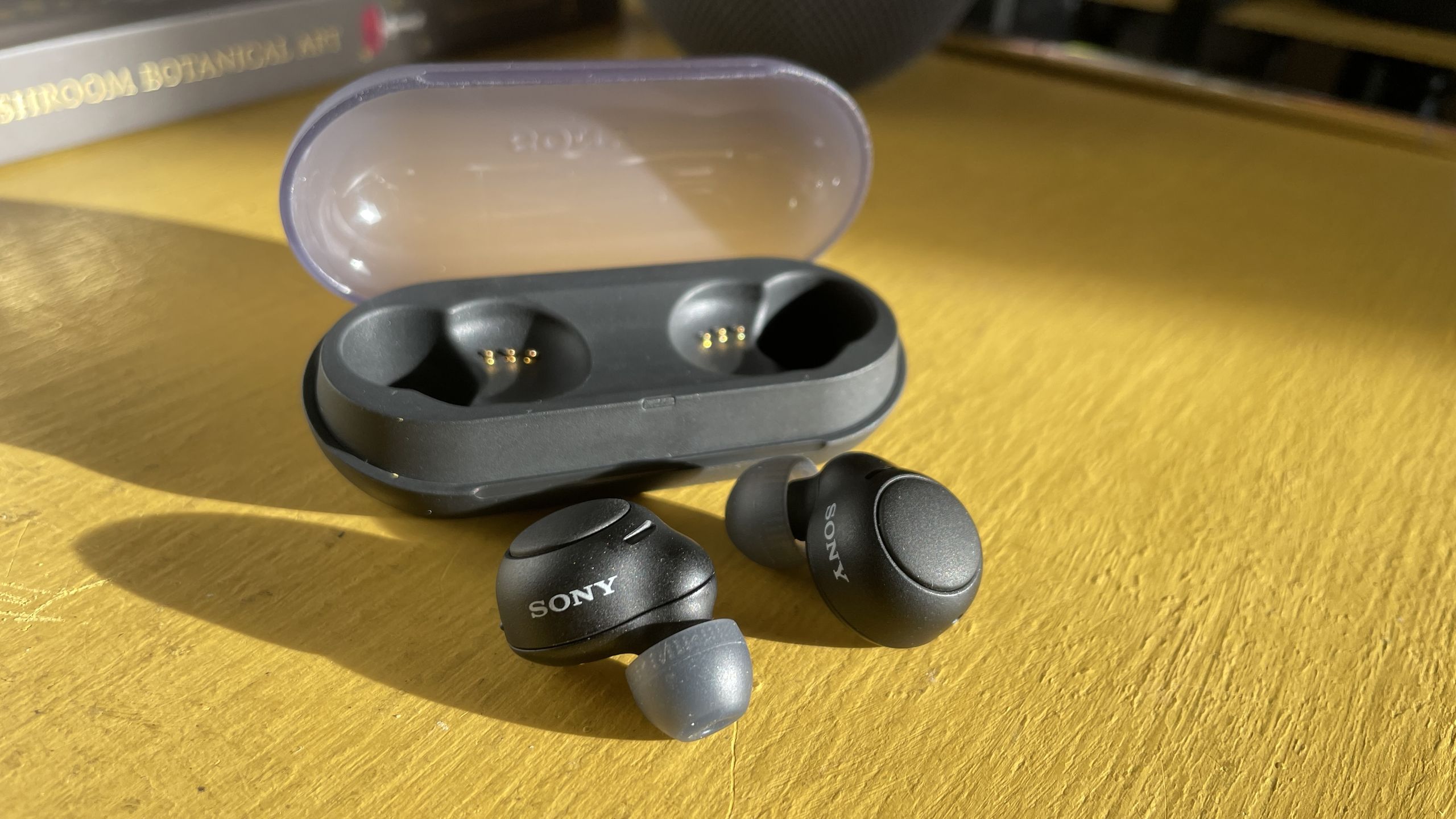 Forget Black Friday, Sony’s Award-winning budget earbuds have dipped to ...