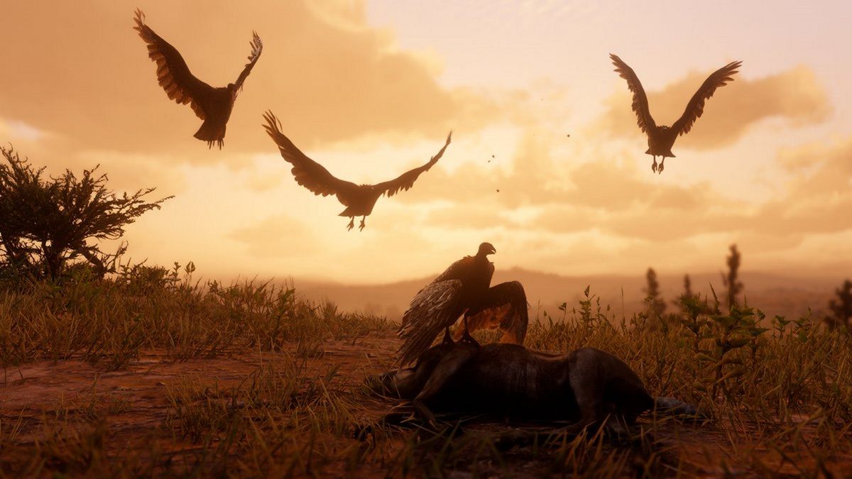 Red Dead Redemption 2 Master Hunter Challenges guide: How to complete them all | GamesRadar+