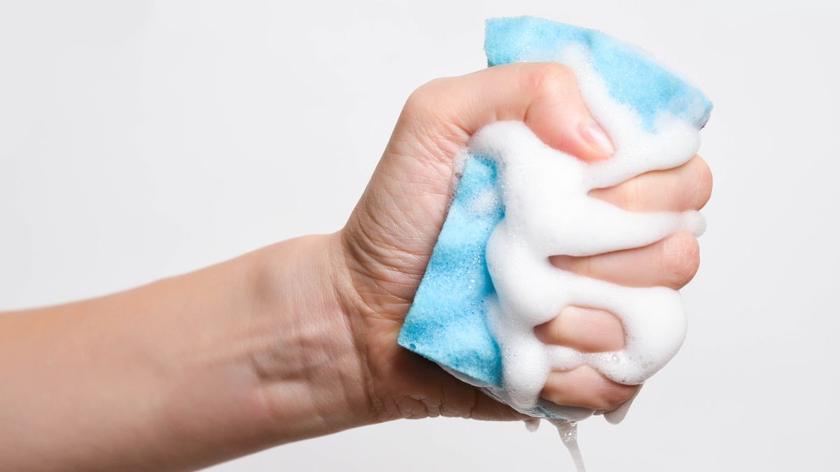 5 mistakes you didn't know you were making with your kitchen sponge ...