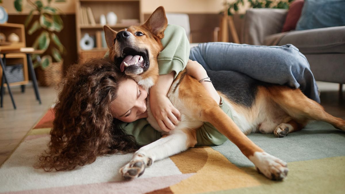10 signs your dog loves you, according to a vet | PetsRadar