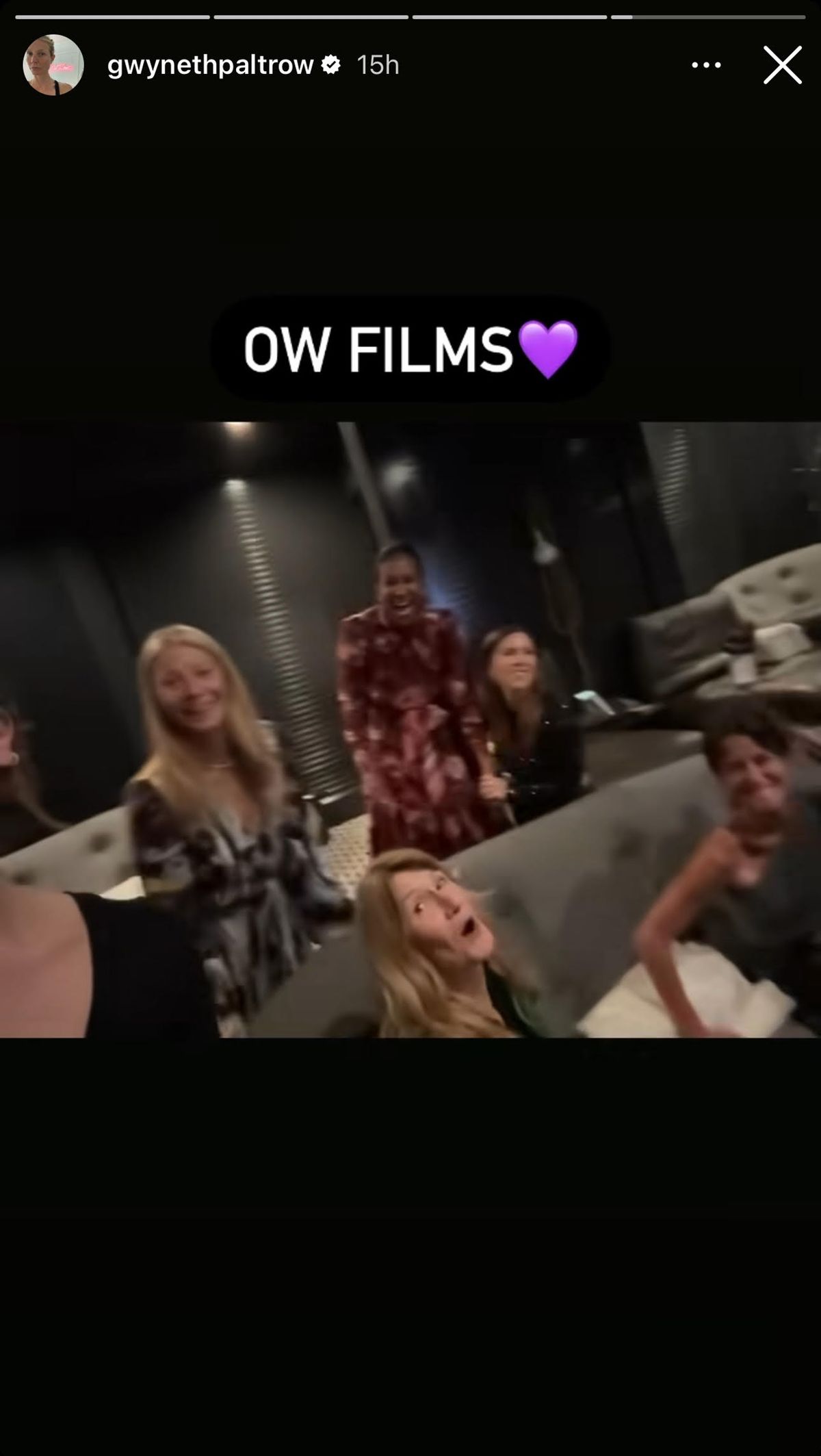 No Big Deal, Just Gwyneth Paltrow, Laura Dern And Some Other Famous ...