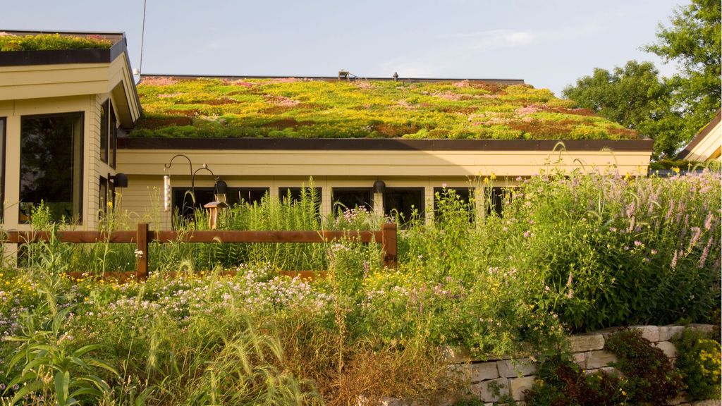 5 Cold Hardy Plants for a Green Roof: Expert Picks | Homes and Gardens