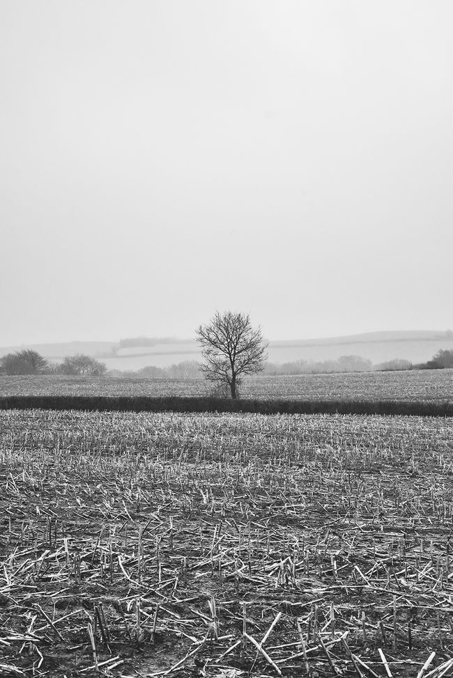 24 creative photography projects for 2024 | Digital Camera World
