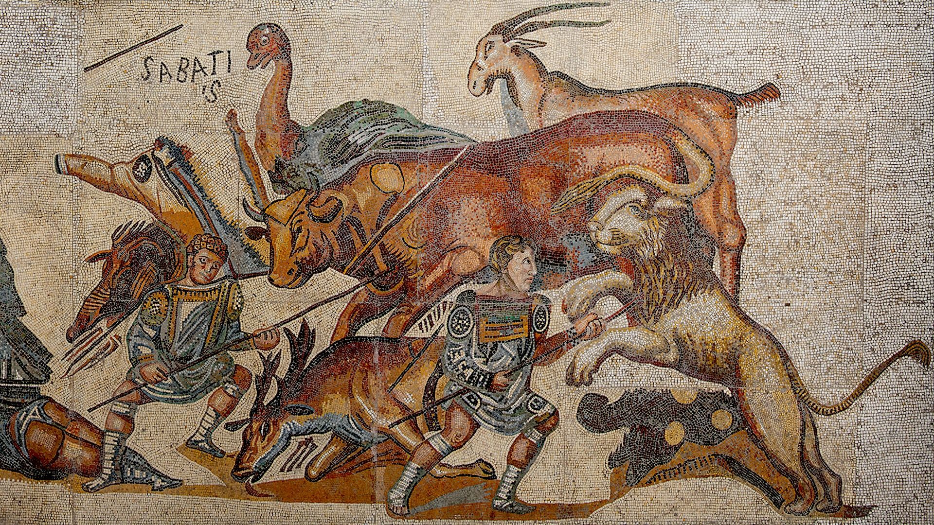 Lion mauled gladiator to death 1,800 years ago in Roman Britain ...