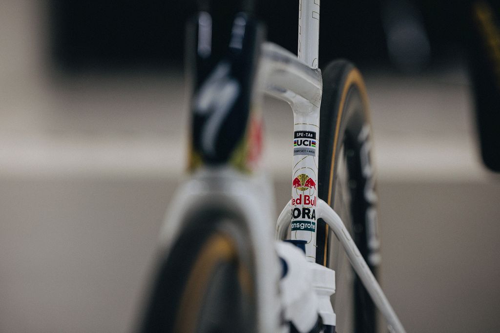 Remco Evenepoel’s Specialized S-Works Tarmac SL8 for 2026: Gold accents ...