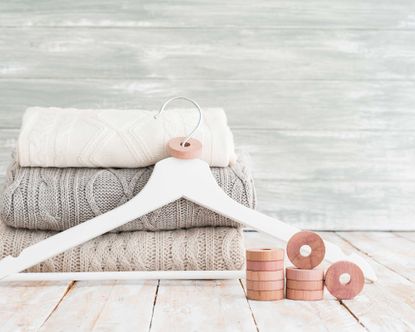 How to prevent moths in the closet: 4 easy ways I have tried | Homes ...