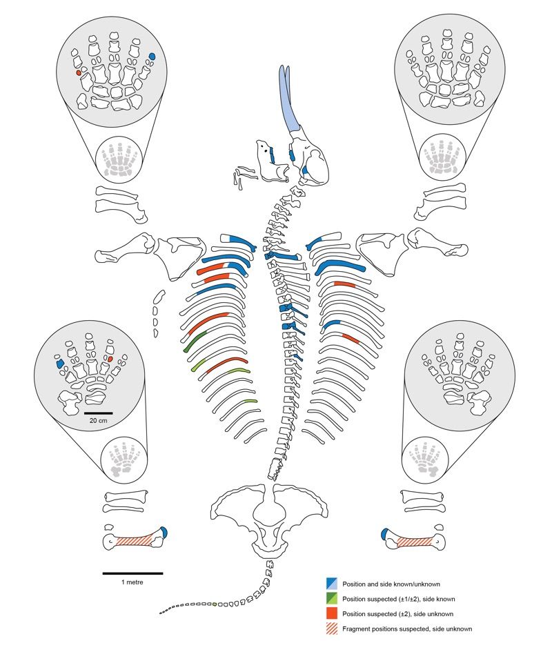In Photos: 130,000-Year-Old Evidence of Humans in California | Live Science