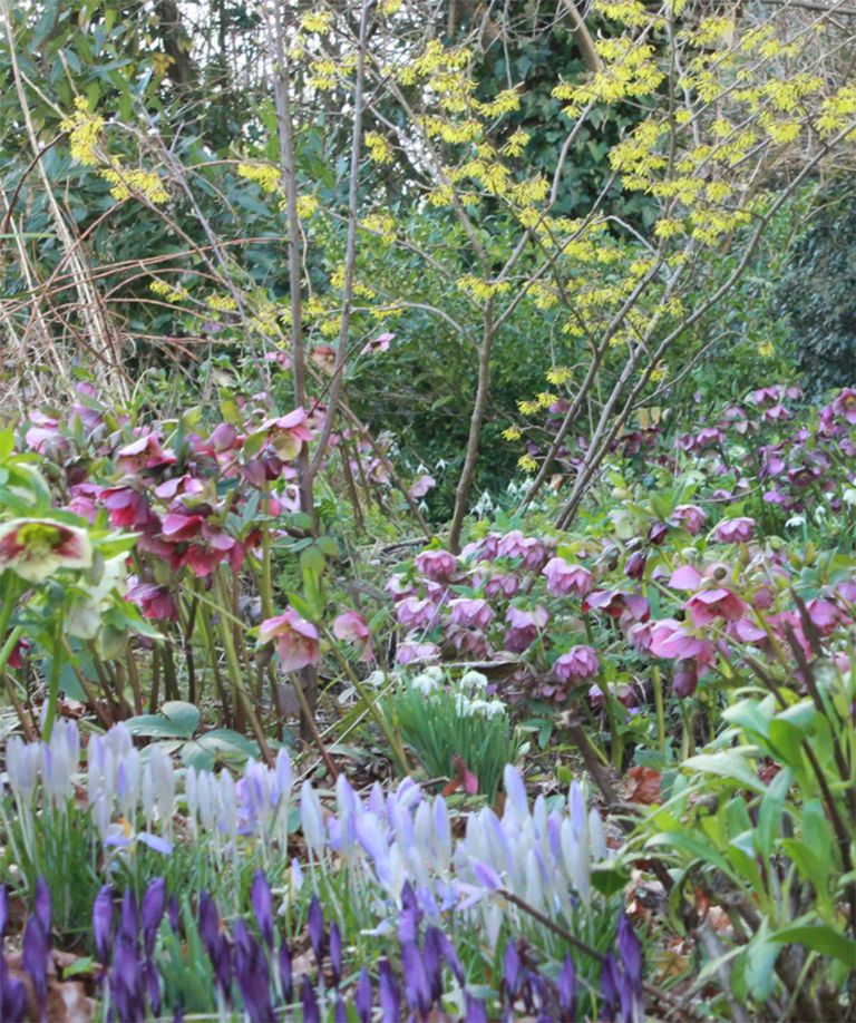 Winter garden ideas: 20 ways to a beautiful winter backyard | Homes and ...