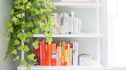 Bookshelf ideas for small rooms: 11 solutions to save space | Woman & Home