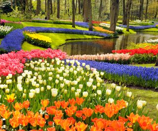 6 Tulip Festival Events To Inspire Your Gardening This Year | Gardening ...