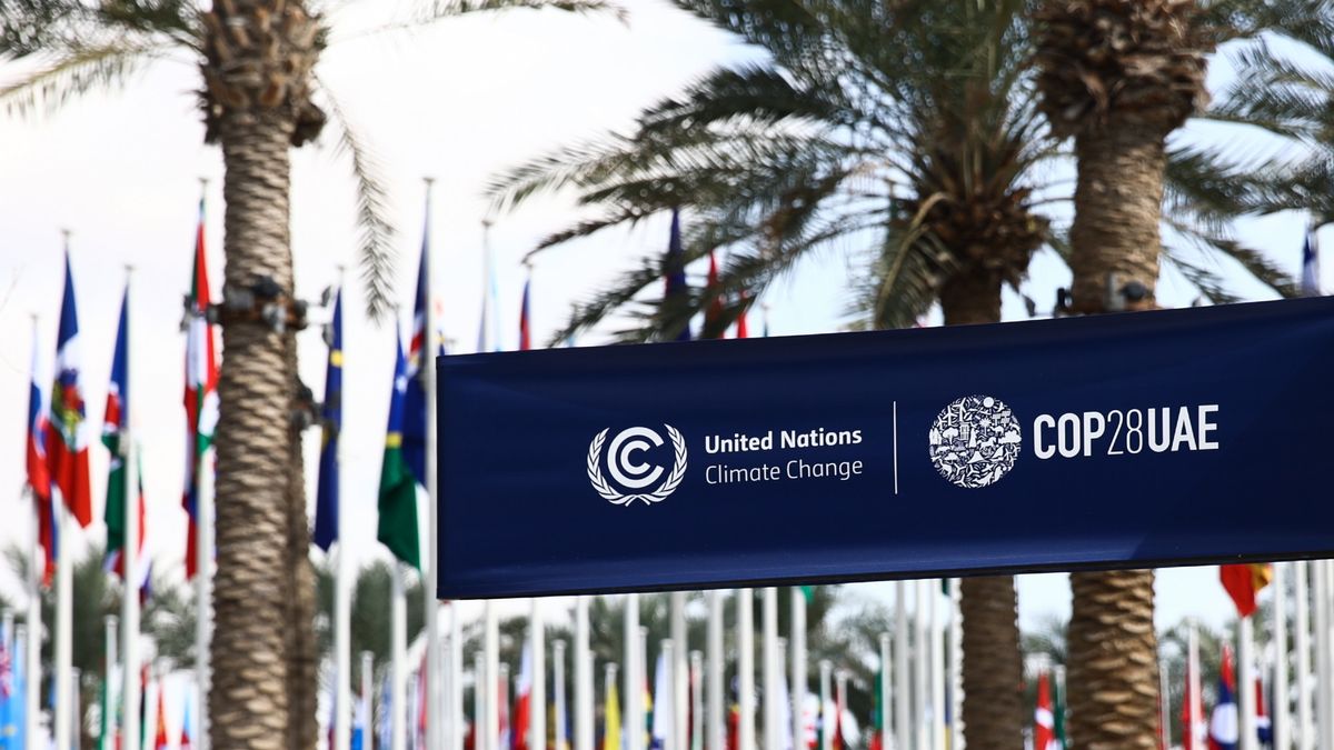 What happened at COP28? | The Week