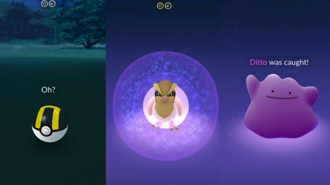Pokemon Go Ditto guide: How to catch a Ditto in Pokemon Go | GamesRadar+