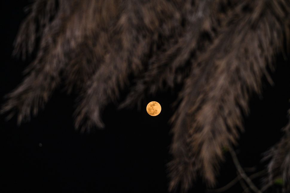 April full moon has us tickled pink in these gorgeous photos | Space