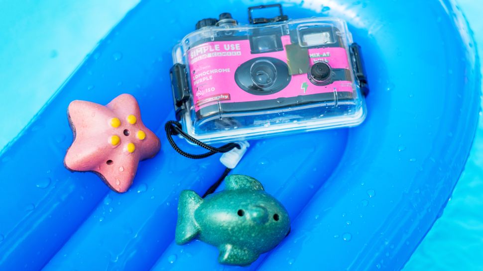Shoot underwater with the Lomography Analogue Aqua waterproof camera ...