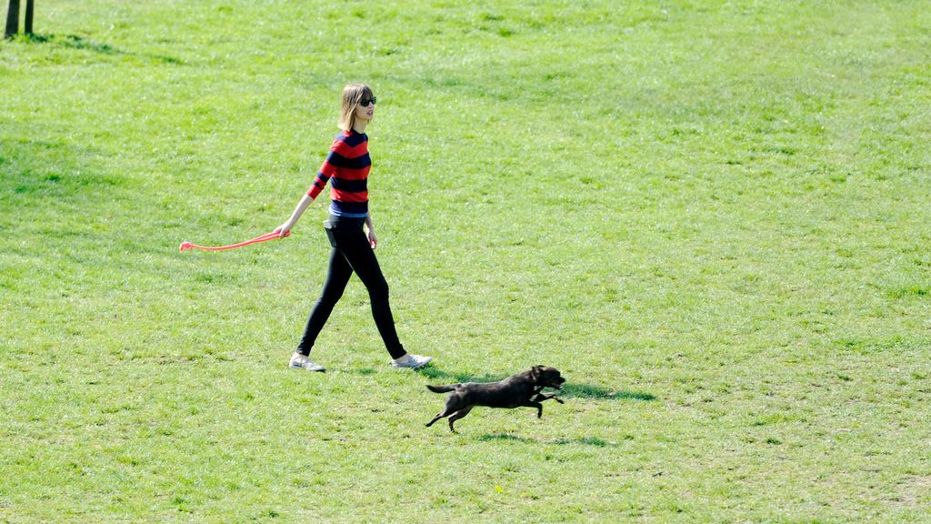 20 dog walking tips for a better time | PetsRadar