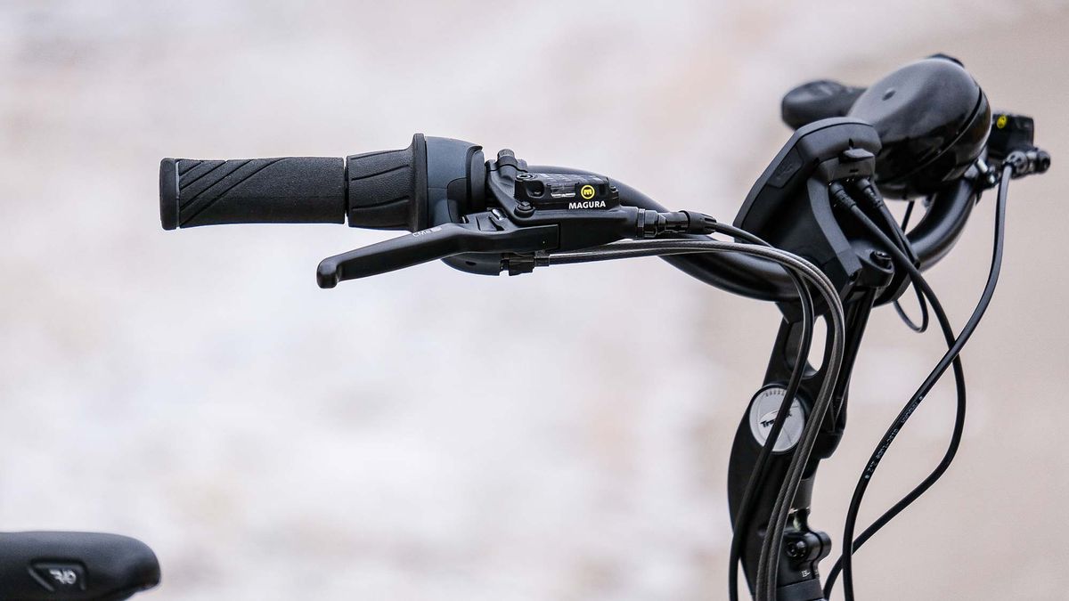 Urban Arrow Family E-Cargo Bike review | Tom's Guide
