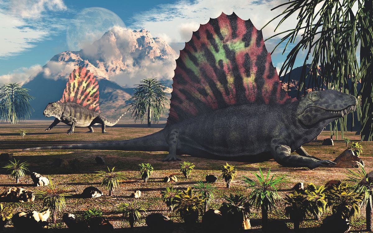 The 5 mass extinction events that shaped the history of Earth — and the ...