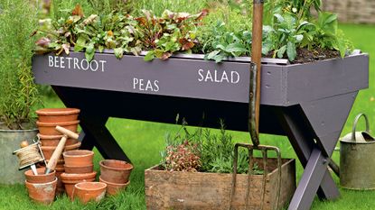 Vegetable gardening for beginners: how to grow your own veg | Woman & Home