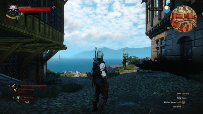The Witcher 3 Feline armor: How to get all Cat School gear | PC Gamer