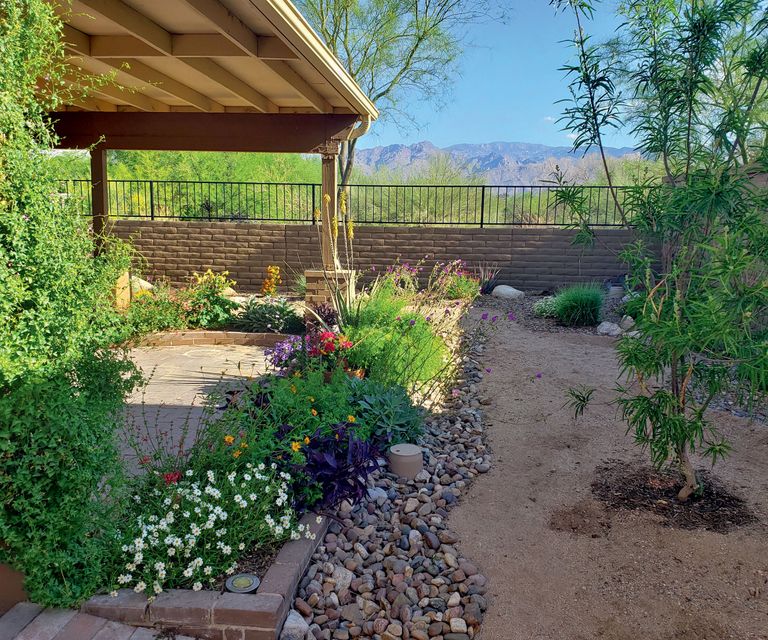 Xeriscaping: how to use this landscaping method in your yard | Homes ...