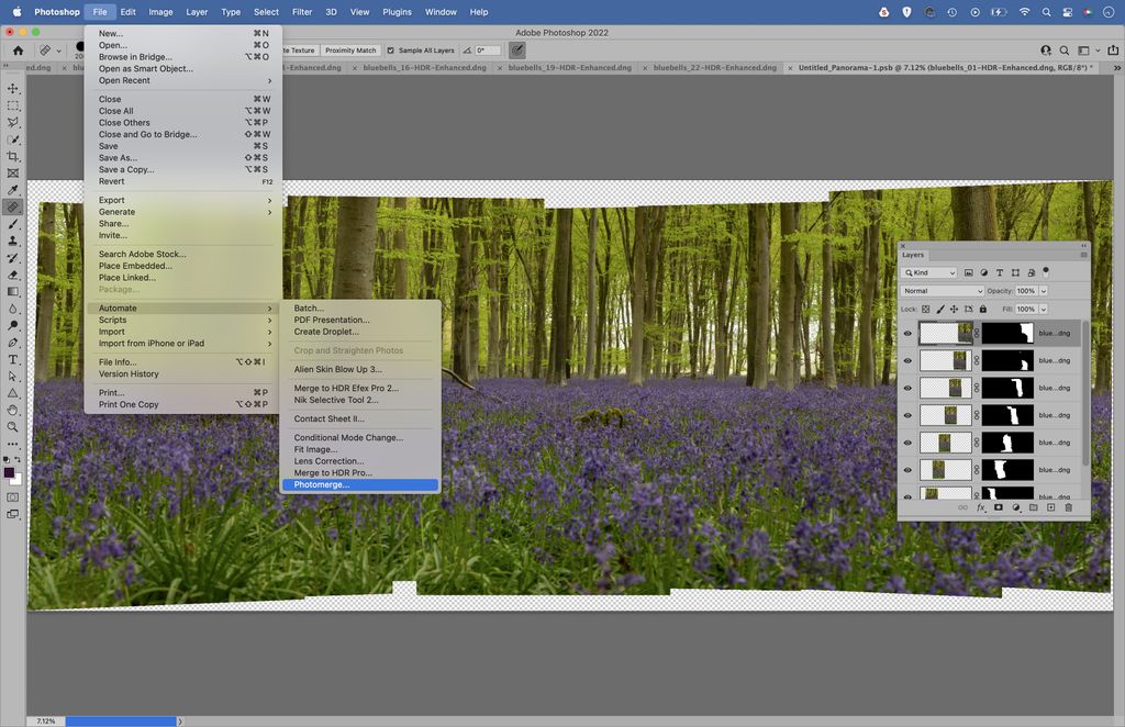 Want a wall-length panorama? Here's how to create jaw-dropping giant ...