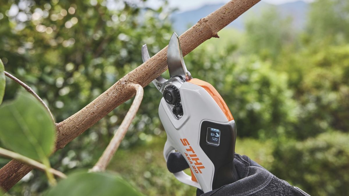 Stihl's new battery-powered secateurs make pruning effortless, and I'm ...