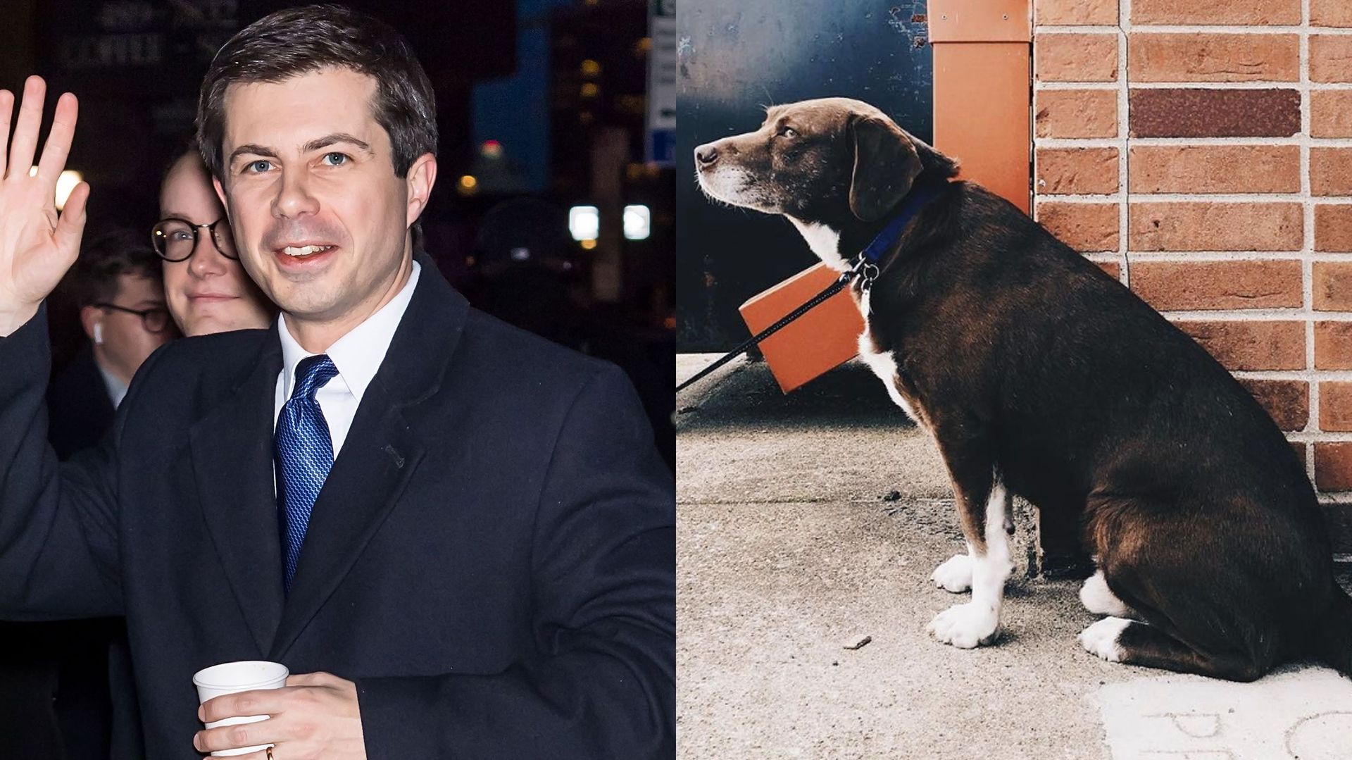 How Many Languages Does Pete Buttigieg Speak? He's A Polyglot | Marie ...