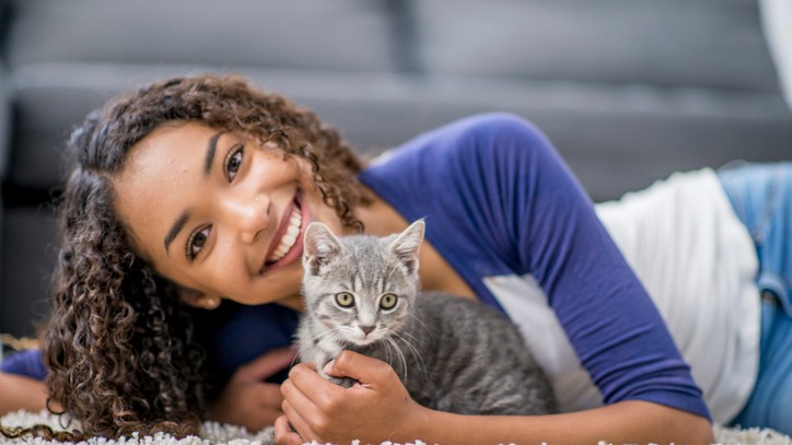 Adopting a Kitten: 5 ways to prepare for your new cat | PetsRadar