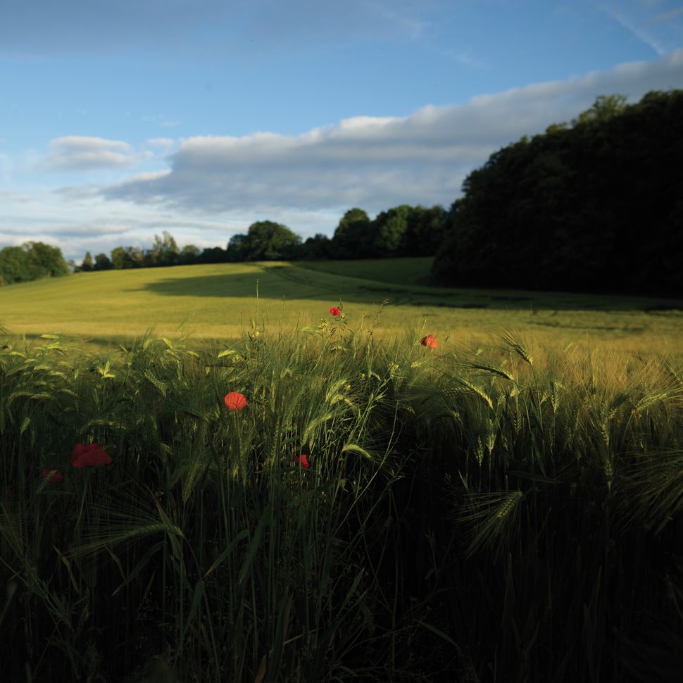 Phase One XF IQ4 150MP camera review | Digital Camera World