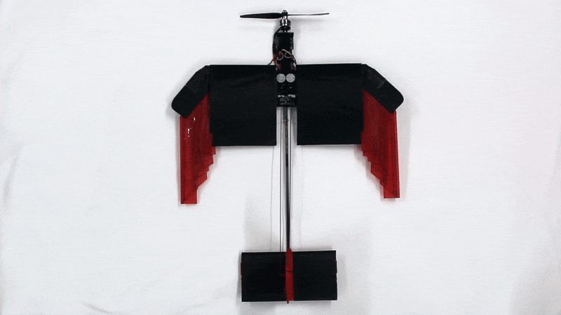 New Flying Robots Take Cues From Airborne Animals | Live Science