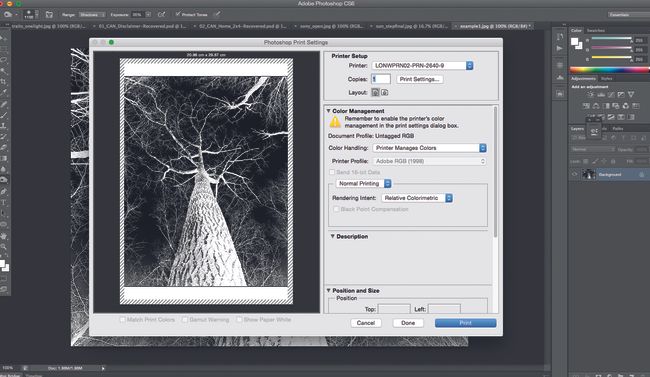 Home photography ideas: How to make a sunprint in just 30 minutes ...
