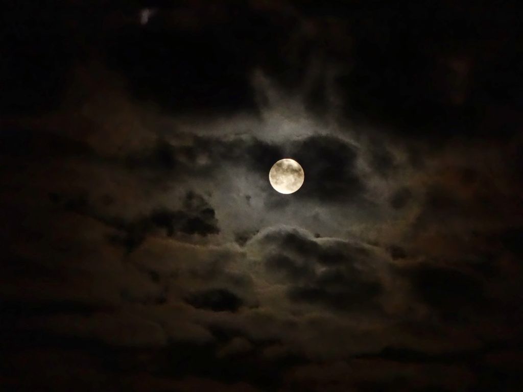 Blue Moon Photos: August Full Moon of 2013 in Pictures | Space