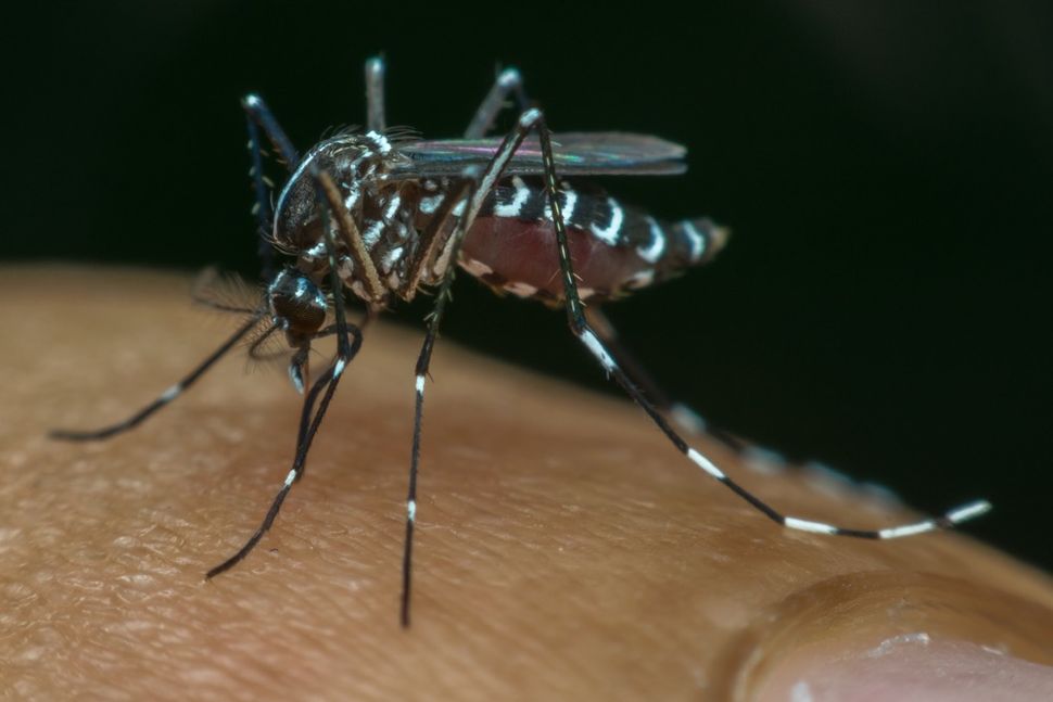 28 Devastating Infectious Diseases | Live Science