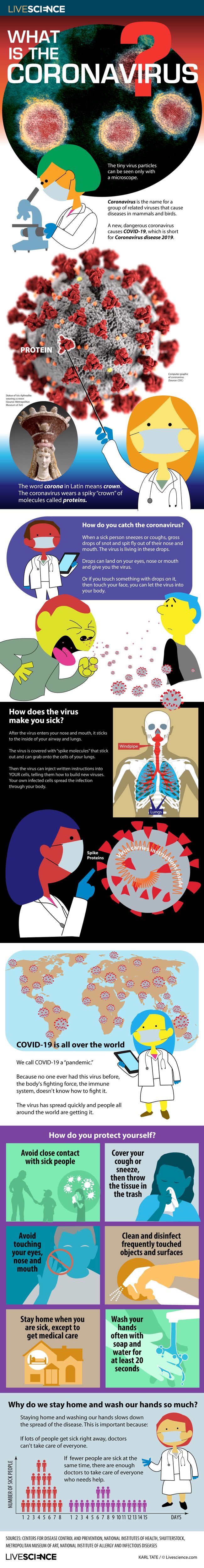 Infographic for kids: Anatomy of the coronavirus | Live Science