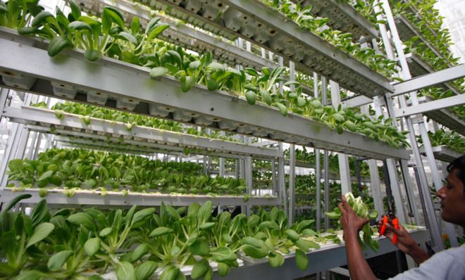 How to solve global warming in 2 easy steps | The Week