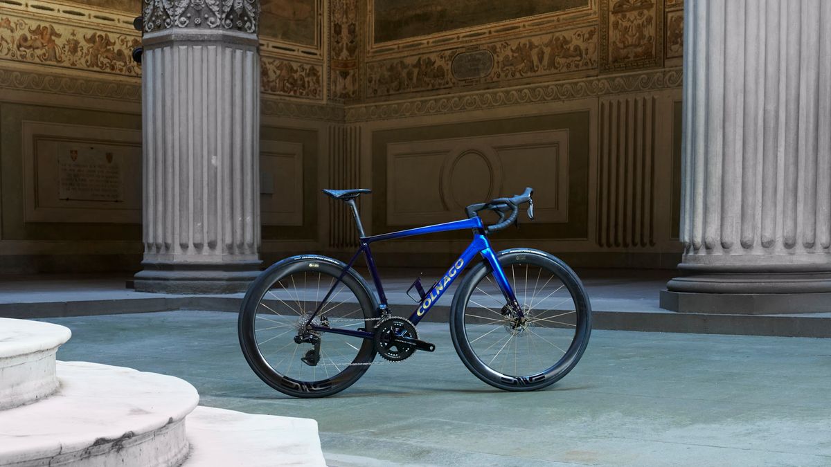 Tadej Pogačar's bike sold for £45,600 at auction | Cycling Weekly