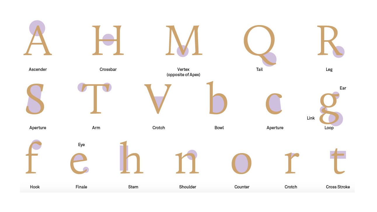 5 traits that define a typeface’s personality | Creative Bloq
