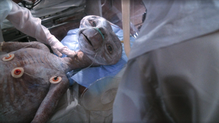 I’m So Glad Steven Spielberg Finally Revealed Whether E.T. Was Slimy Or ...