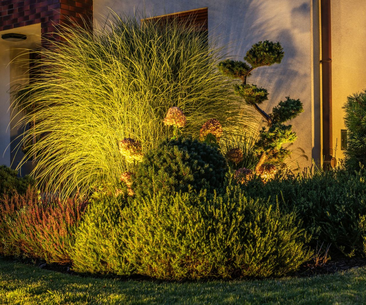 How to uplight a tree – expert methods | Homes and Gardens