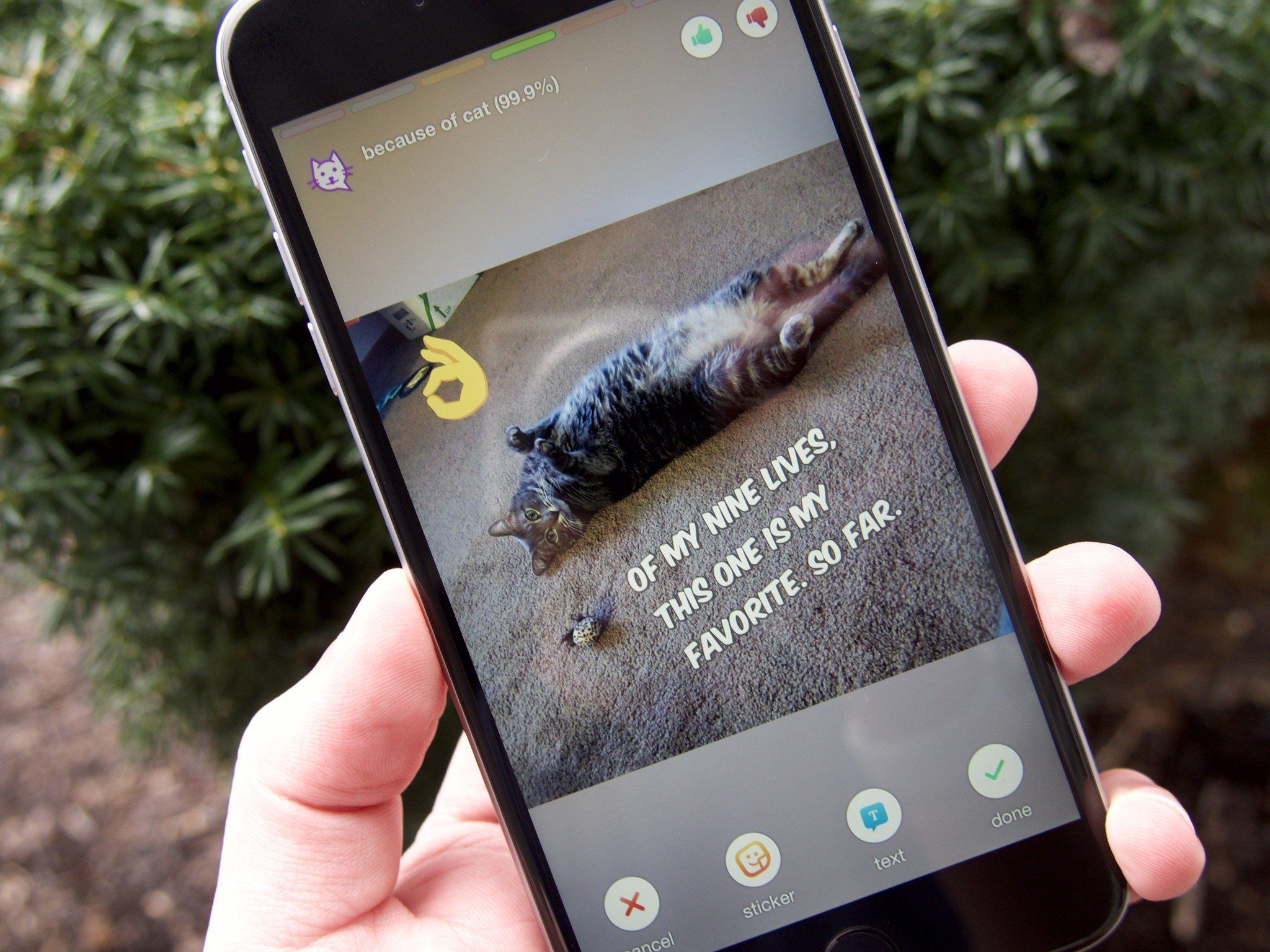 Microsoft's Sprinkles app for iOS adds some quirky machine learning fun ...