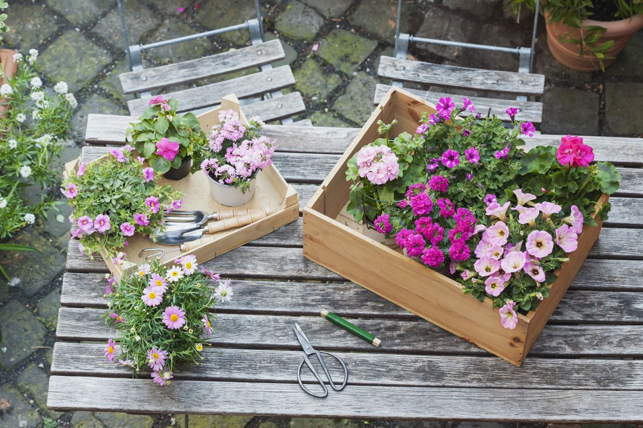 8 Japanese Gardening Tools That Will Elevate Your Backyard | Livingetc