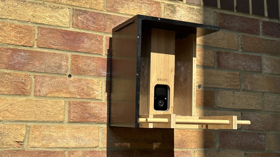 Netvue Birdfy Bamboo review: the sustainable and stylish bird feeder | ITSC