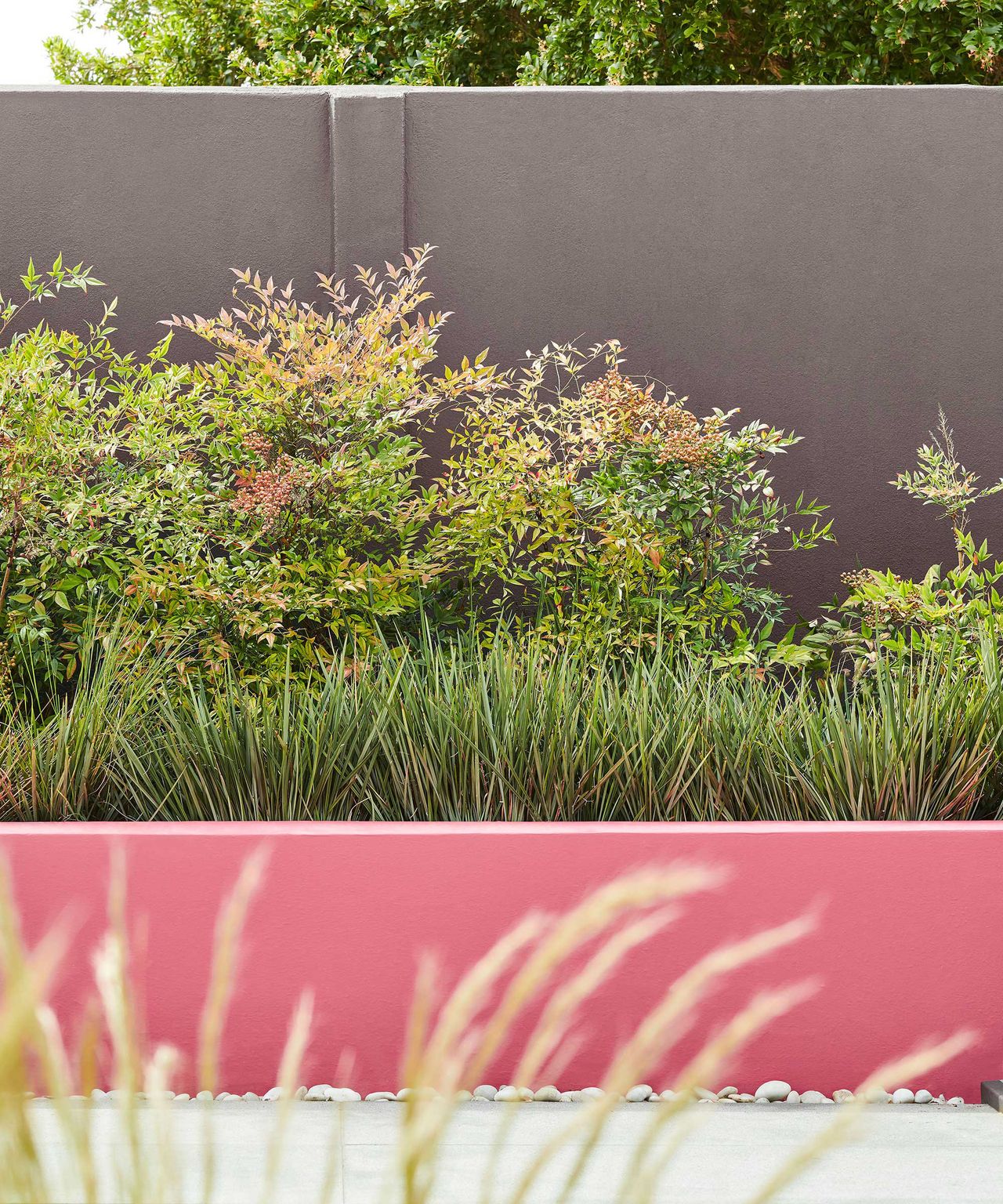 Budget landscaping ideas: 10 ways to enhance your space | Homes and Gardens