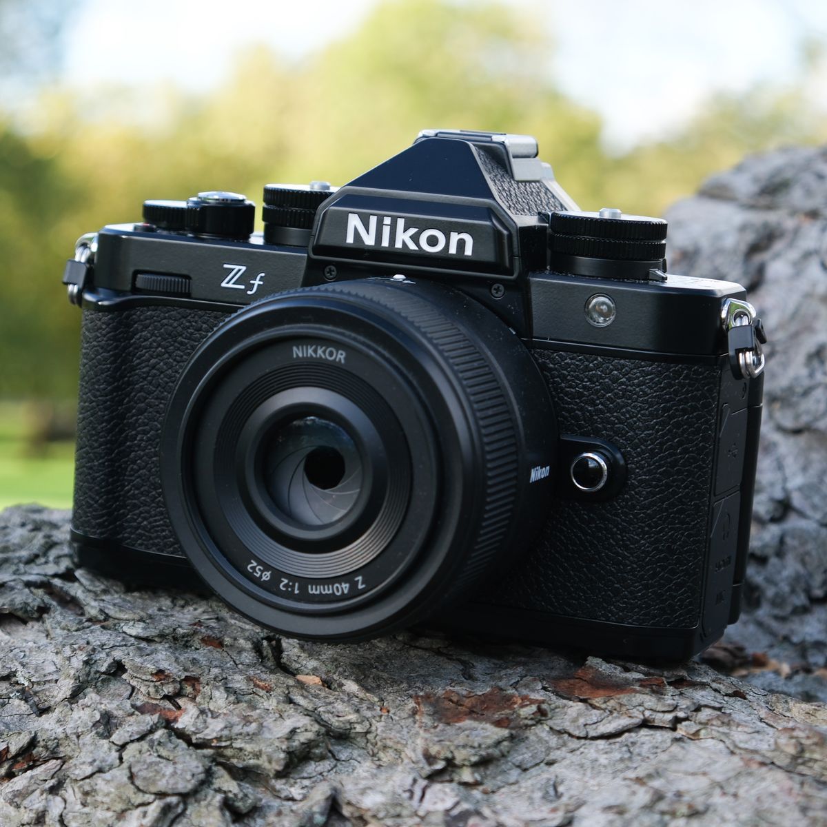 Nikon in 2023: Cutting-edge flagships to film camera throwbacks ...