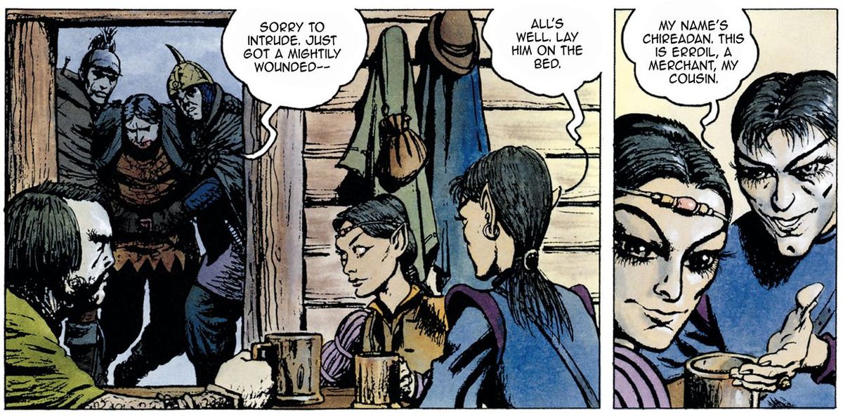 The original Polish Witcher comics are available in English if you can ...