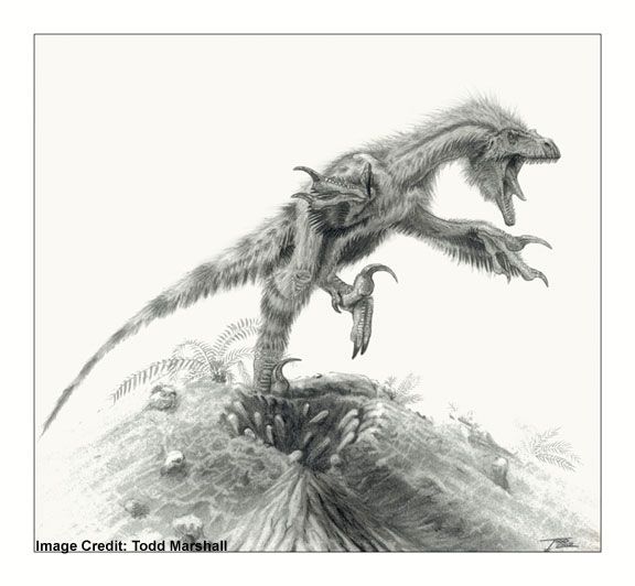Avian Ancestors: Dinosaurs That Learned to Fly | Live Science