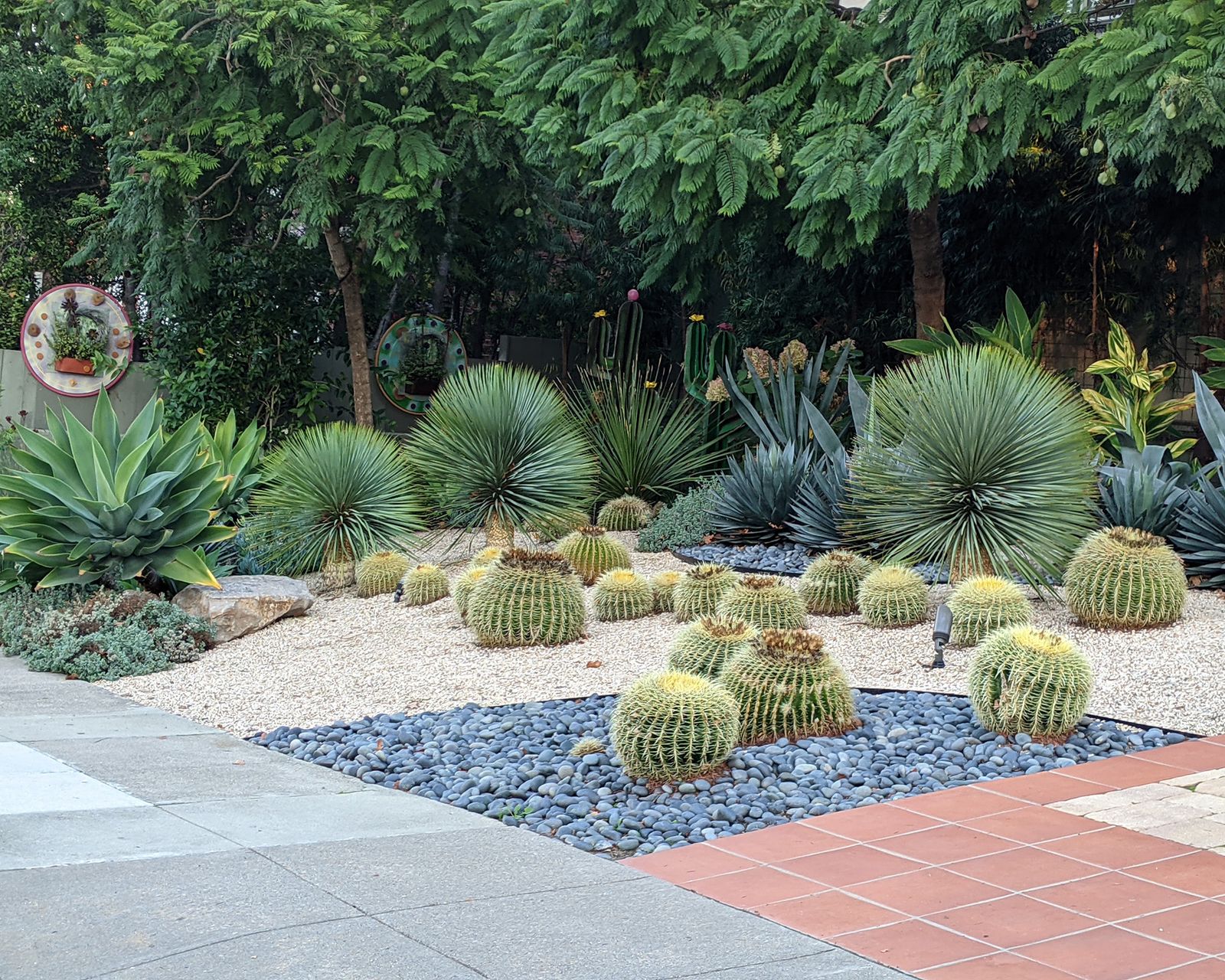 Guide to xeriscaping: what is xeriscaping and how to use it | Gardeningetc